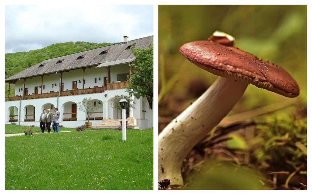 6 oameni au ajuns la spital în stare gravă, după ce s-au intoxicat cu ...